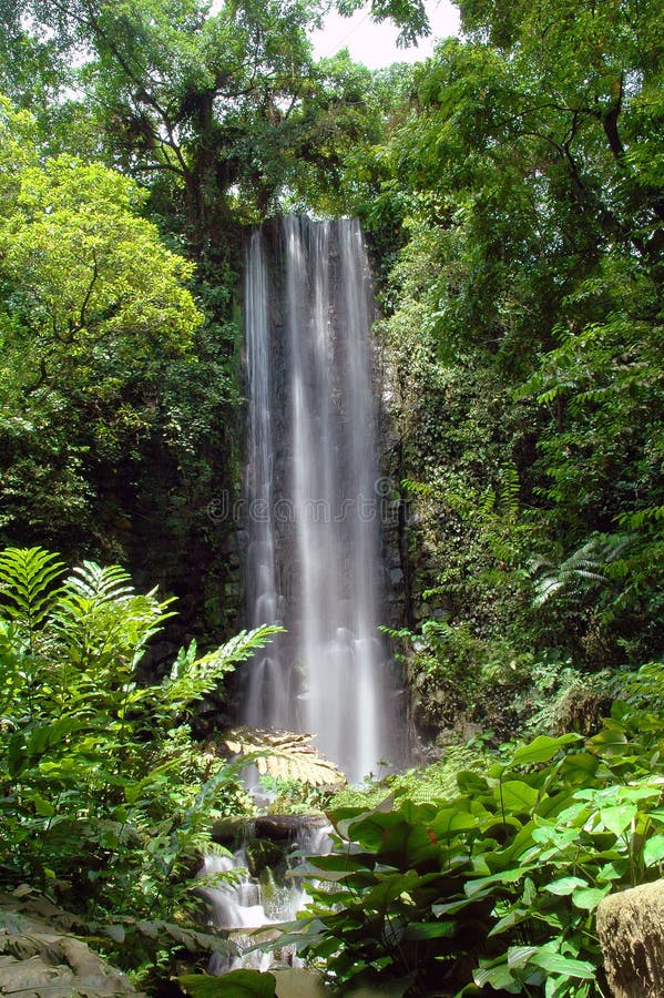 Water fall stock photo. Image of tree, water, fresh, environment - 38722246