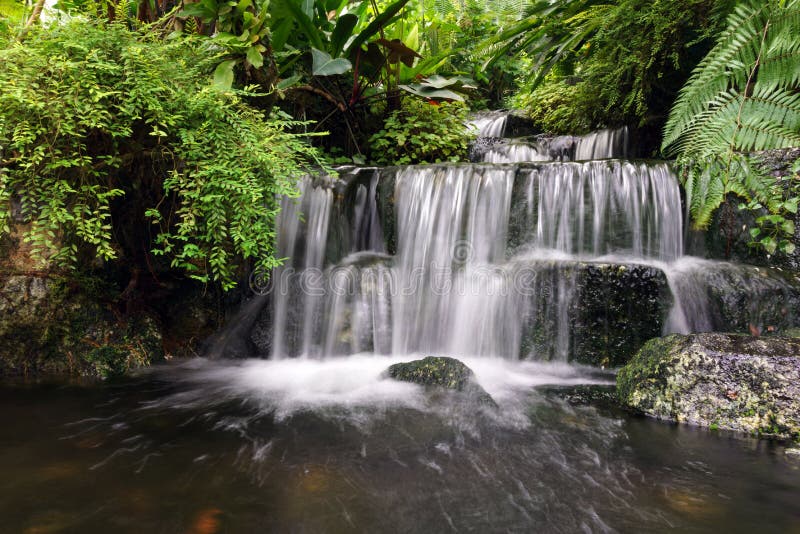 The Waterfalls in the Prehistoric Park at Zilker Botanical Garden in ...