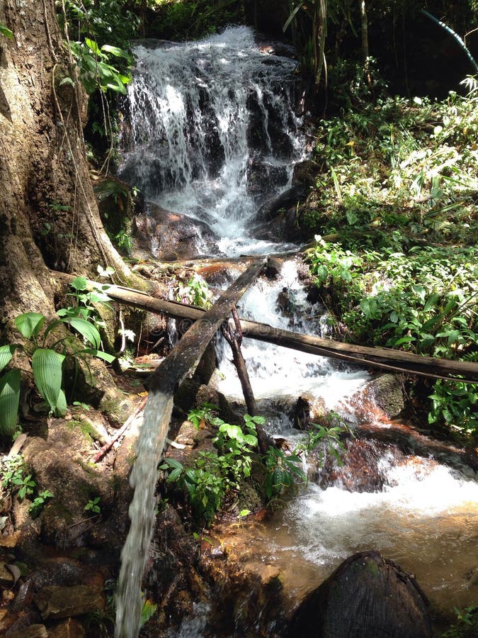 Waterfall in natural stock photo. Image of fall, waterfall - 102794096