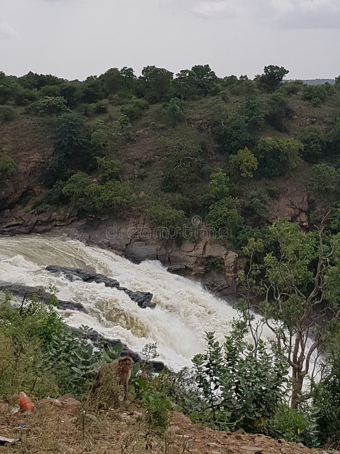 Water Fall, Water Course, Trees, Plants, Stock Image - Image of stream ...