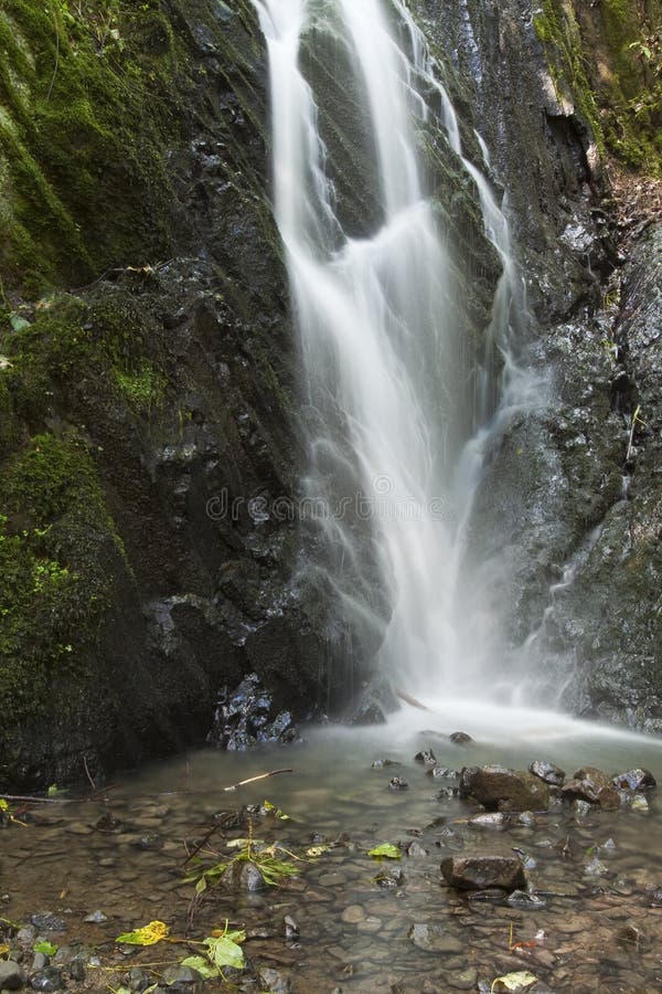 Water Fall on Rocks with Moss. Stock Photo - Image of leaf, multnomah ...
