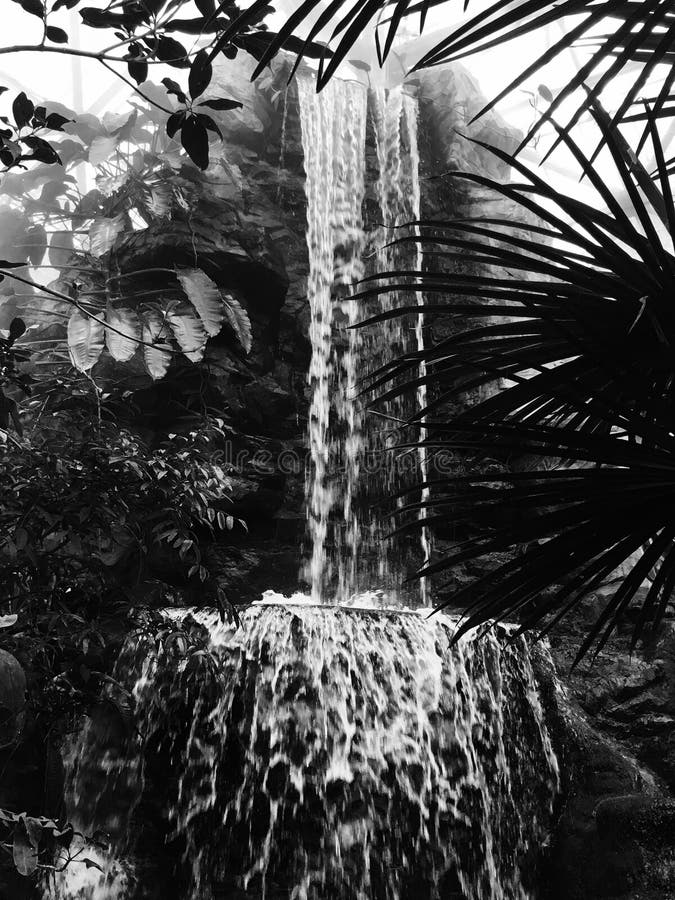 Water Fall stock image. Image of high, nature, flow, water - 79466917