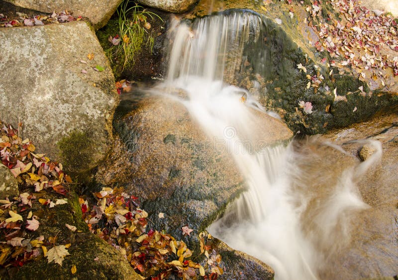 Water fall (foliage) stock photo. Image of foliage, colors - 57758796