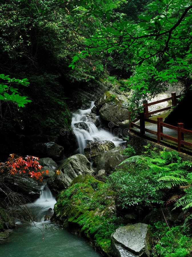 Water fall of forest stock image. Image of fresh, rocks - 16606585
