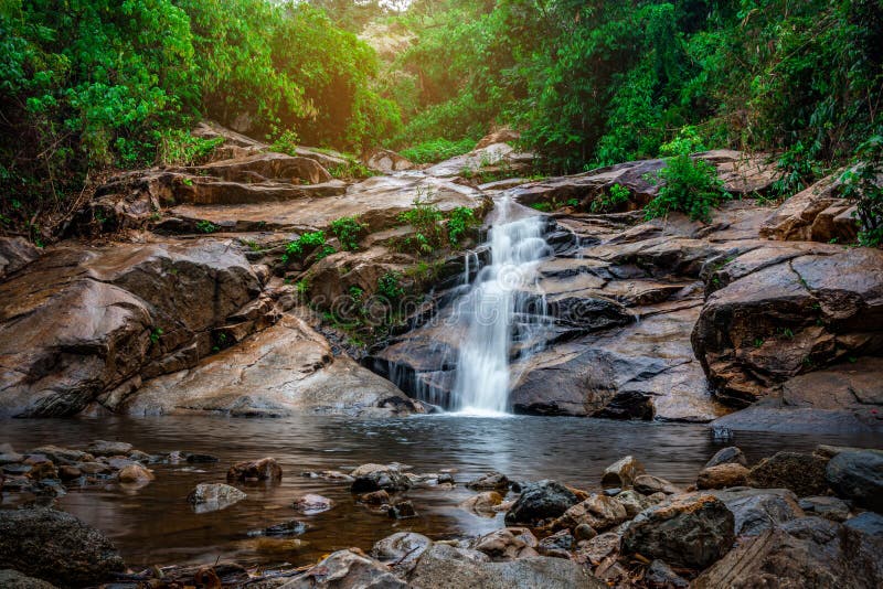 Water Fall in Forest with Green Tree Nature Stock Image - Image of ...