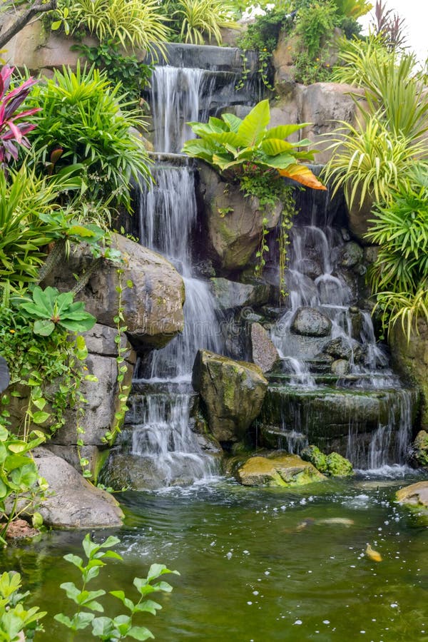 Water fall in garden stock image. Image of fall, freedom - 67601857
