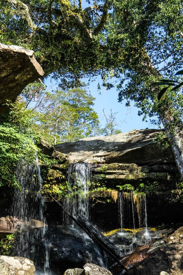 Water Fall With Green Trees Stock Image - Image of leaf, leaves: 28801799