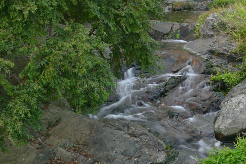 The Water Fall in Little Hawaii Trail at Tko Stock Photo - Image of ...