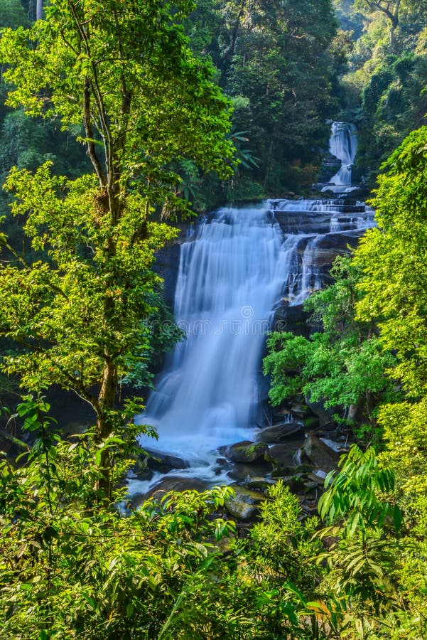 Water Fall Located in Deep Rain Forest Jungle Stock Image - Image of ...