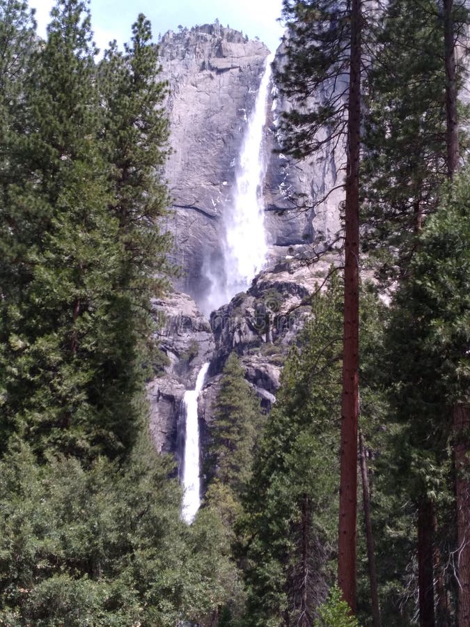 Water Fall Magic stock image. Image of waterway, tree - 254127573