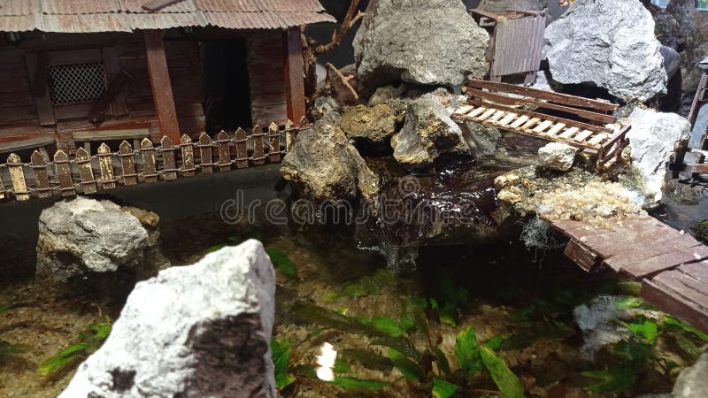 Water Fall in Mini Aquarium with Stone Stock Photo - Image of fall ...