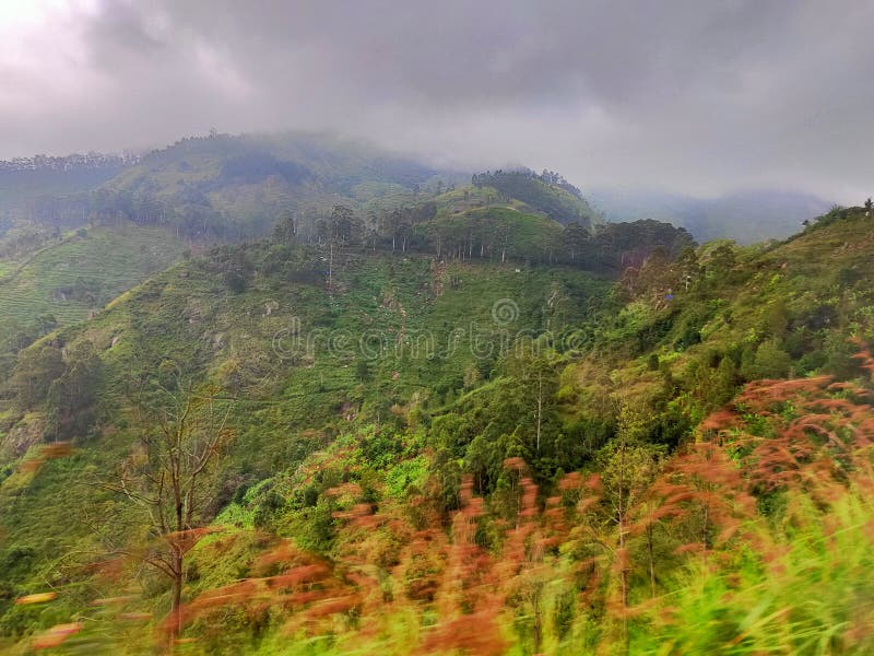 Water Fall Nature at His Best Stock Photo - Image of fall, water: 167274666