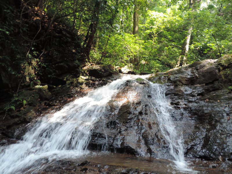 Water fall stock photo. Image of nature, water, flow - 74022206