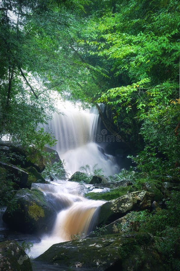 Water fall stock photo. Image of wild, dung, leaf, waterfall - 83806044