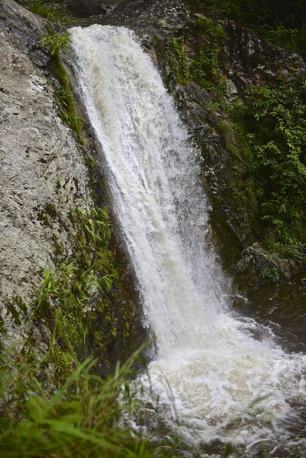 Water fall stock image. Image of water, jungle, fall - 58453295