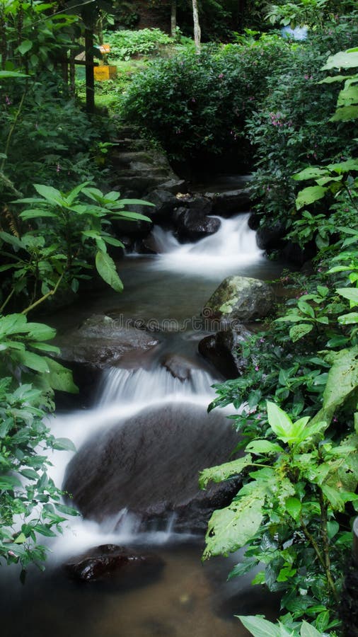 Water fall in rock stock photo. Image of woodland, vegetation - 226454972