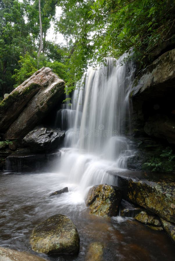Water fall stock photo. Image of tree, water, fresh, environment - 38722246