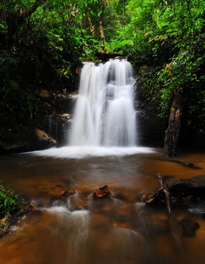 Water Fall in Spring Season Located in Deep Rain Forest Jungle Stock ...