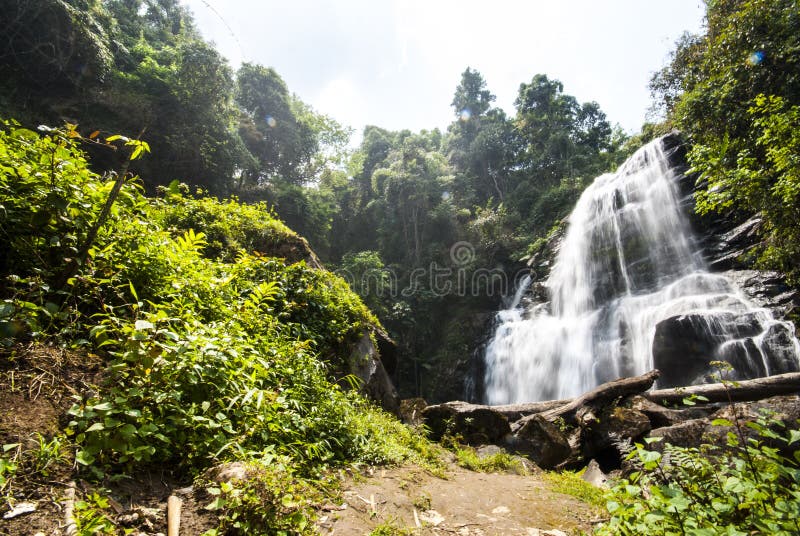Water Fall in Spring Season Located in Deep Rain Forest Jungle. Stock ...