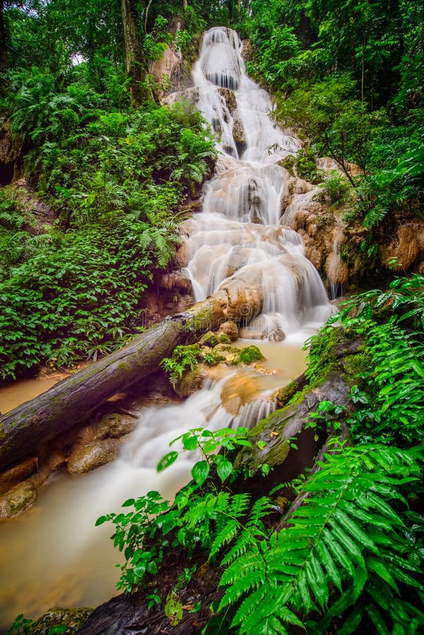 Water Fall in Spring Season Located in Deep Rain Forest Jungle Stock ...