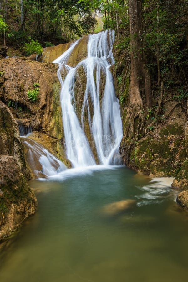 Water Fall in Spring Season Located in Deep Rain Forest Jungle Stock ...