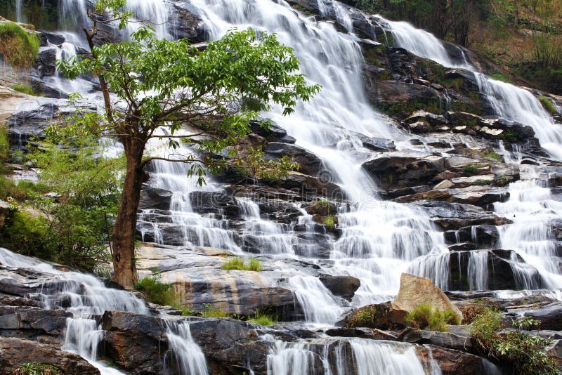Water fall and tree stock image. Image of beauty, natural - 39697003