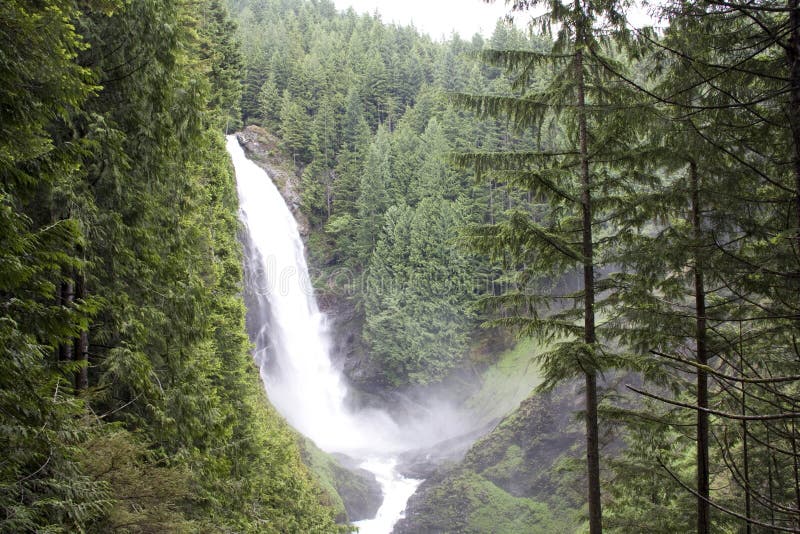 Water Fall Waterfall Forest Mountain Stock Image - Image of mist, water ...