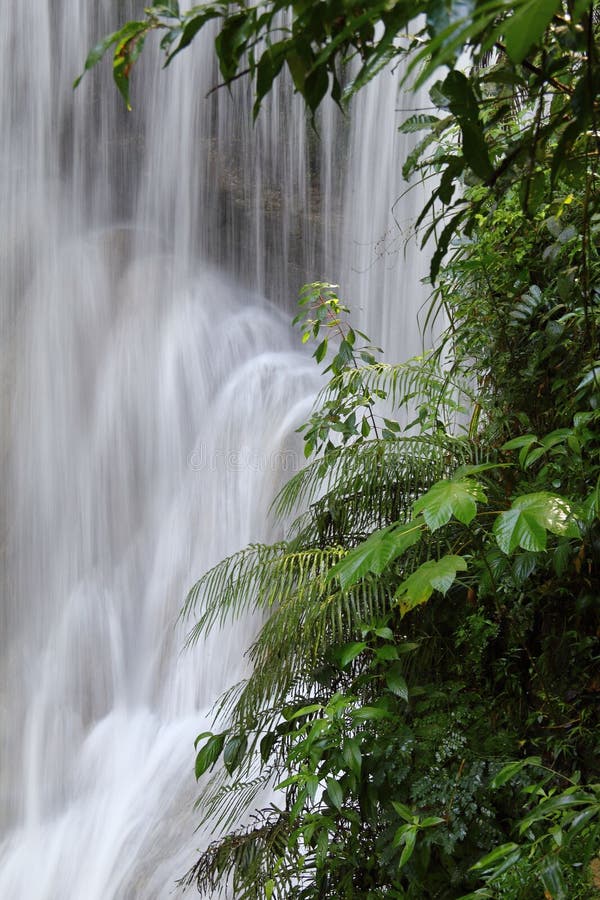 Water Falling Over the Top of a Waterfall in a Tropical Rainforest ...