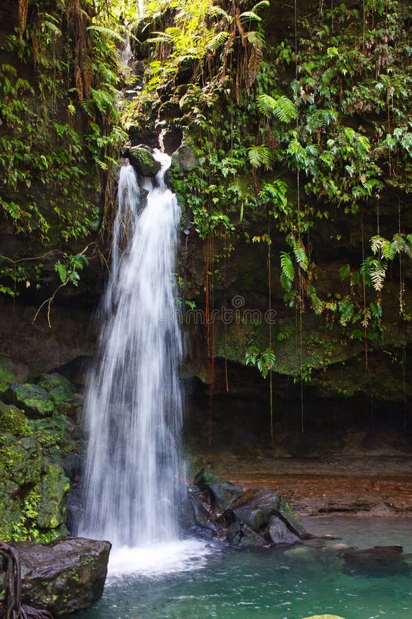 Water Falling into a Pool from a Jungle Stream Stock Image - Image of ...