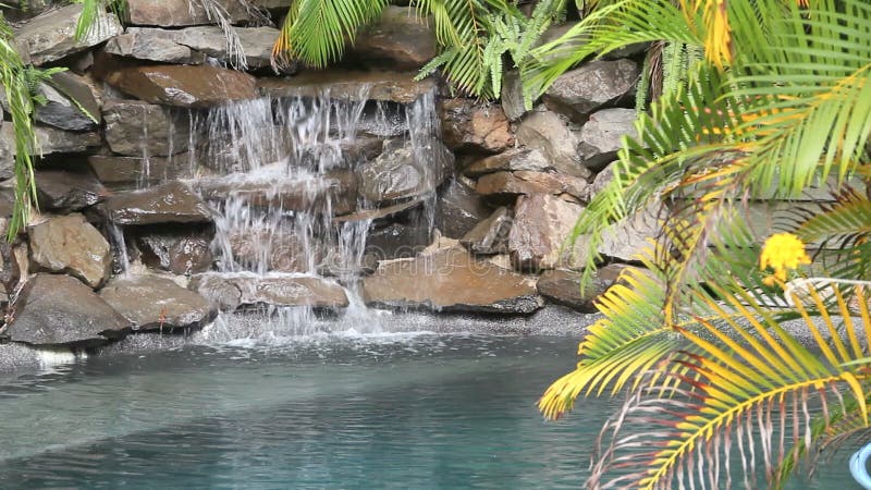 Water Falling on Yellow Wild Flowers Stock Video - Video of drop ...