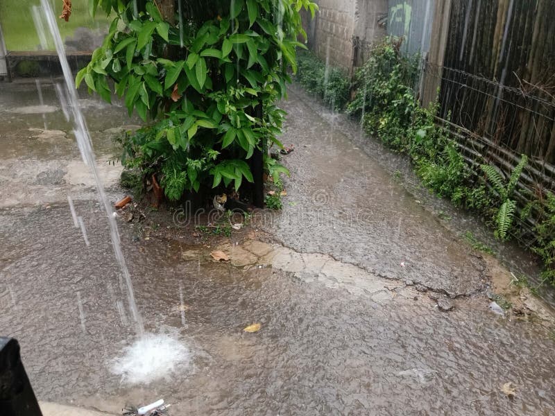 Water Falling from the Sky Rain Get Wet Deluge Water Nature Stock Image ...