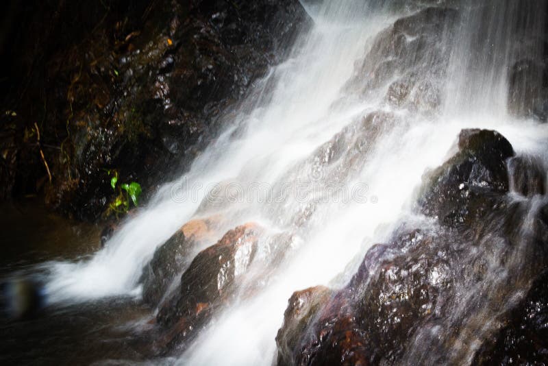 Water Falling on Stone in the Forest Stock Photo - Image of environment ...