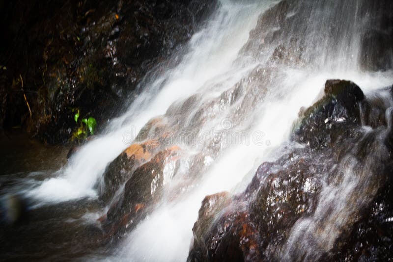 Water Falling on Stone in the Forest Stock Image - Image of flowing ...