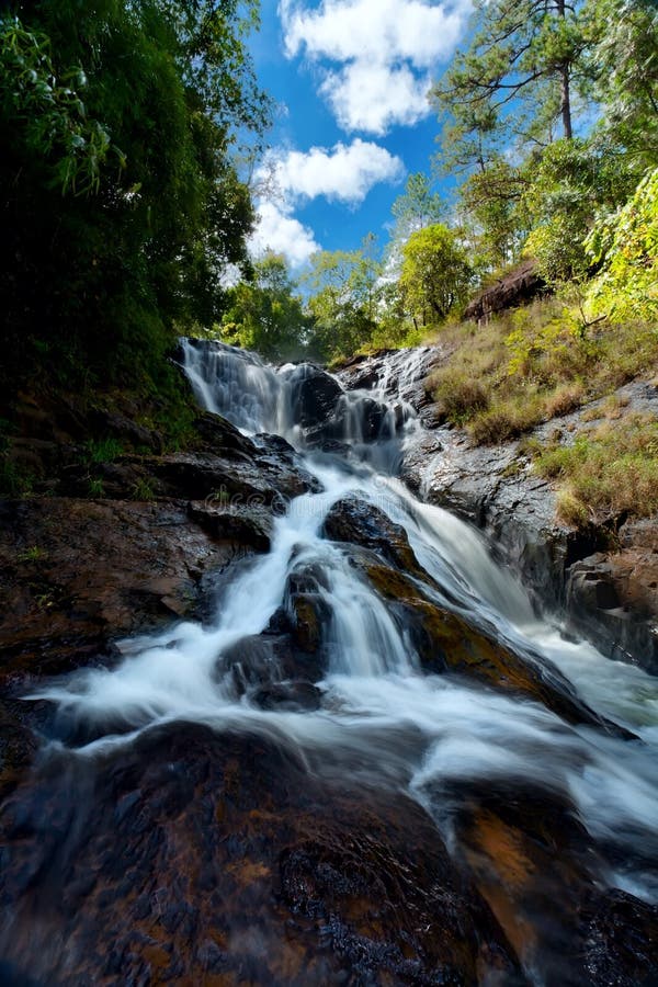 Water falling in the wood stock photo. Image of flow - 35461330