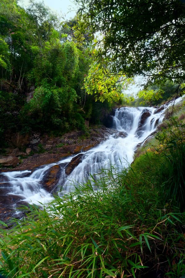 Water falling in the wood stock image. Image of leaf - 35461337