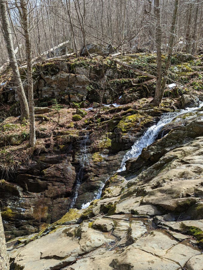 Water Falls River Rocks Woods Nature Moss Stock Image - Image of ...