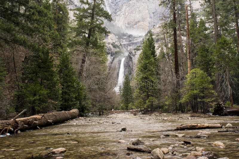 Water Falls Surrounded by Green Leaf Trees Stock Image - Image of ...