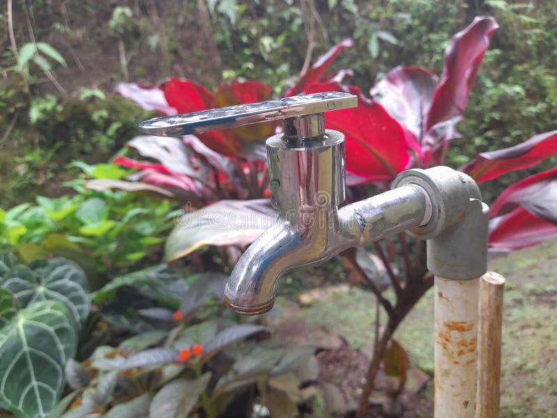 Water Faucet in Front of the House Stock Photo - Image of front, green ...