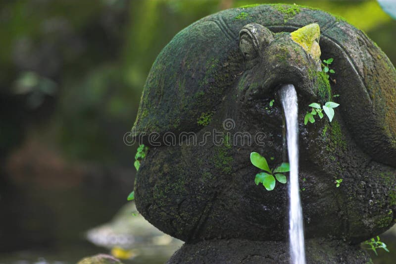 Water Feature and Gardens Barrington Court Near Ilminster Somerset ...