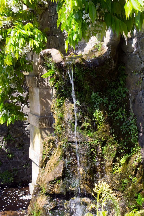 Water Feature stock photo. Image of flow, garden, green - 21572410