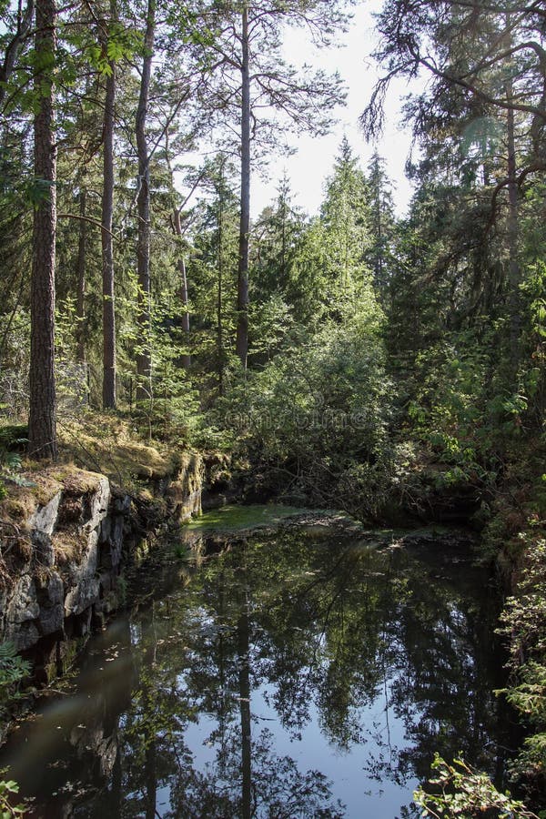 A Water-filled Old Mine in the Forest Stock Image - Image of landscape ...