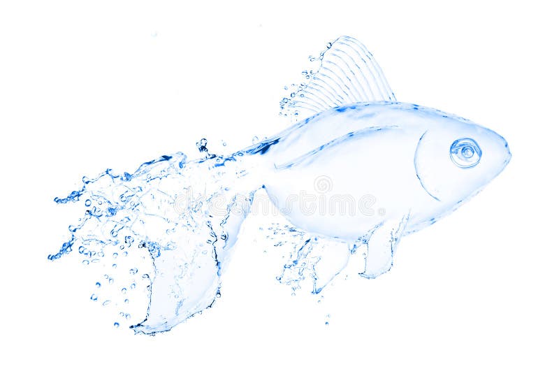 Water Fish stock image. Image of bubbles, aquarium, pretty - 12106349