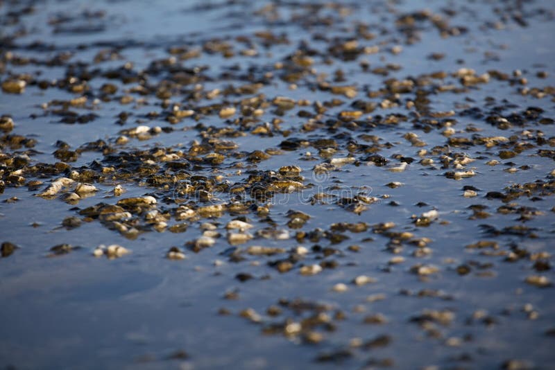 Stone Soil Unclean with Water Stock Photo - Image of reflection, beach ...