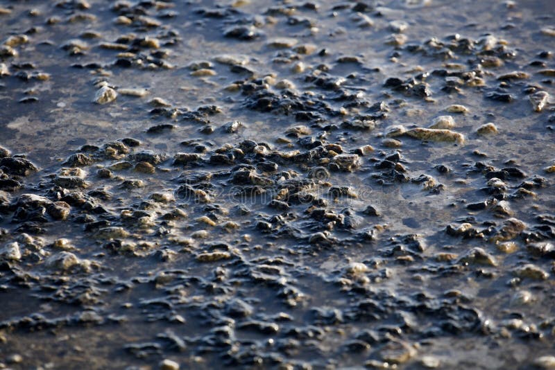 Stone Soil Unclean with Water Stock Photo - Image of water, soil: 234419328