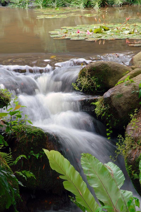 Water Flow stock image. Image of waterfalls, water, lotus - 594791