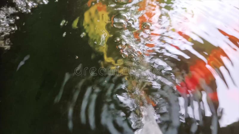 Water Flow from the Water Pump on the Surface of the Koi Fish Pond ...