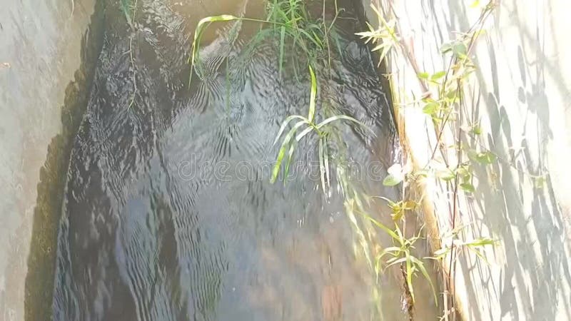 Close-up, Water Flow in Clean Sewers Stock Footage - Video of nature ...