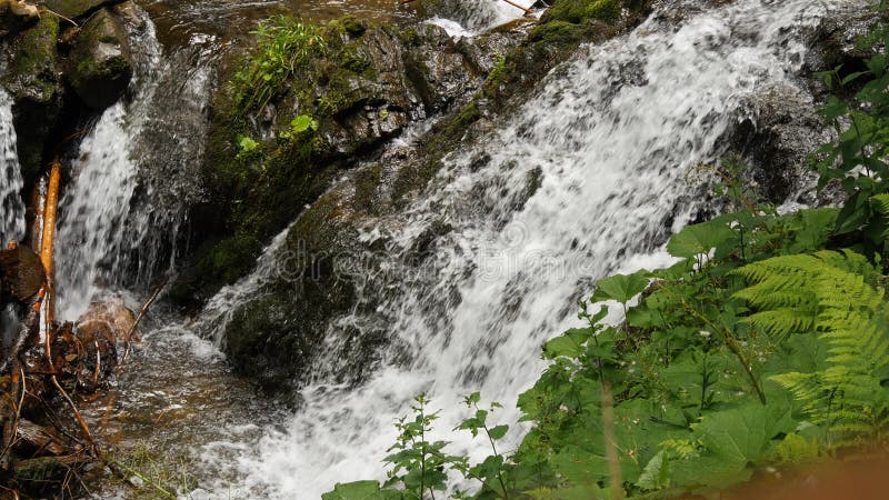 Water Flow Close Up at Small Water Fall Stock Photo - Image of fall ...