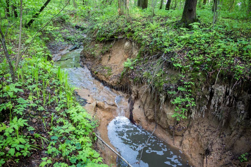 Water Flow Eroding Sandy-clay Soil in the Forest, Formation of a Ravine ...
