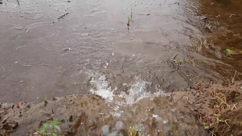 Water Flow in Farmer S Fields Stock Video - Video of concept, indonesia ...